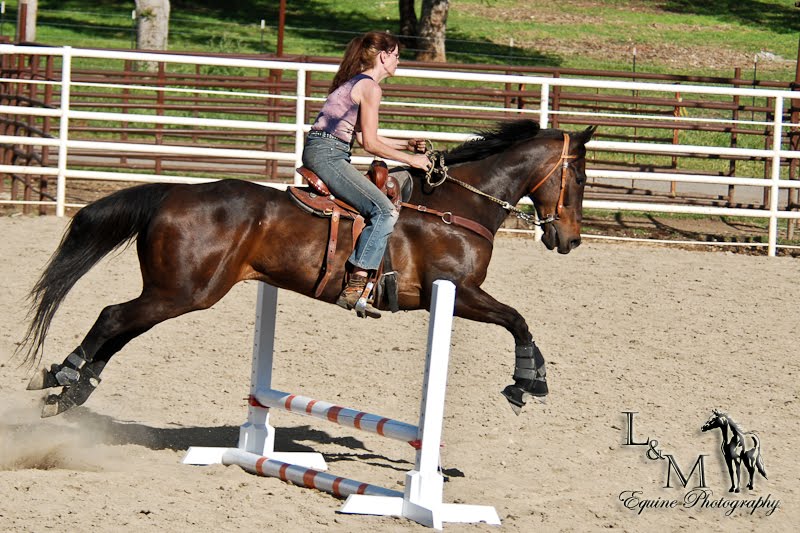 Safe Haven Horse Rescue Journal: Hurry Scurry.......jumping!!!!